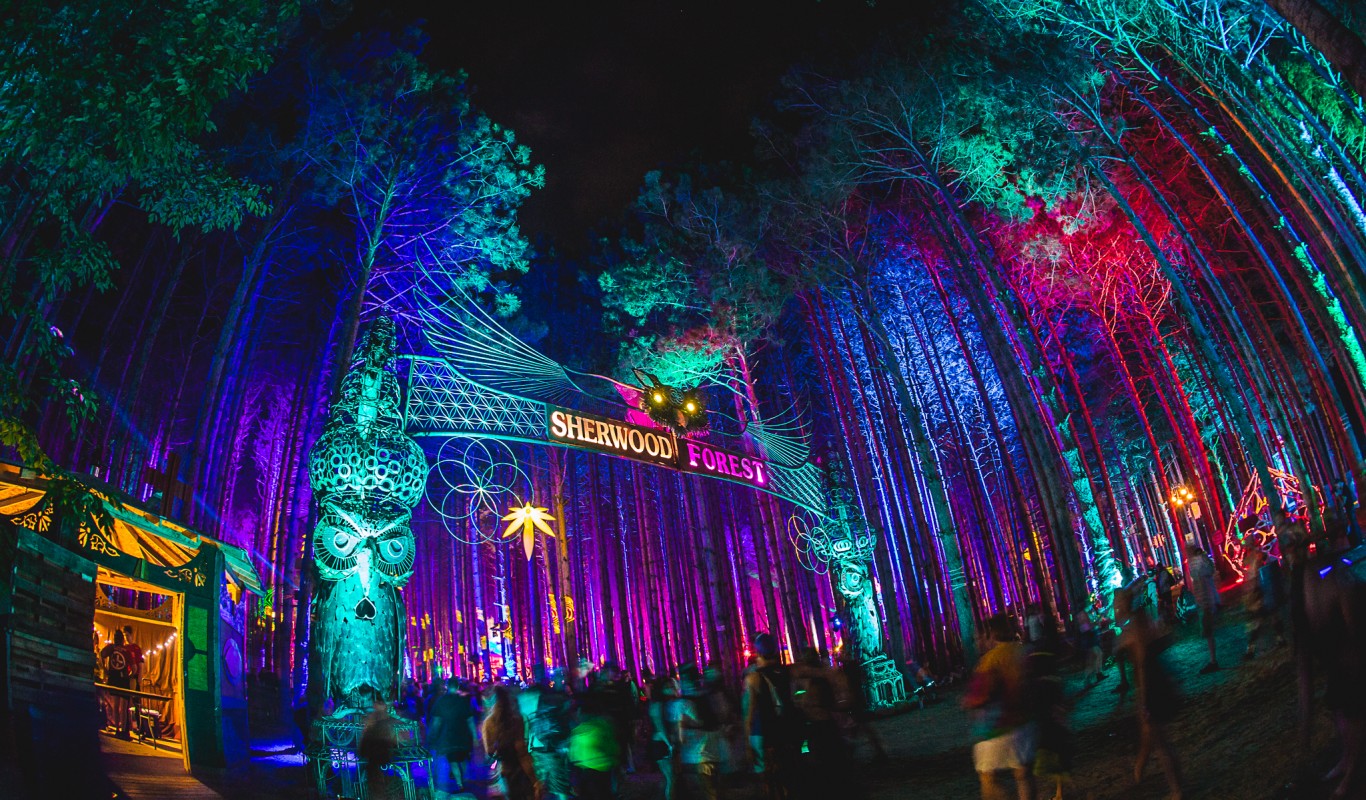 The 8 Best Music Festivals of the Summer