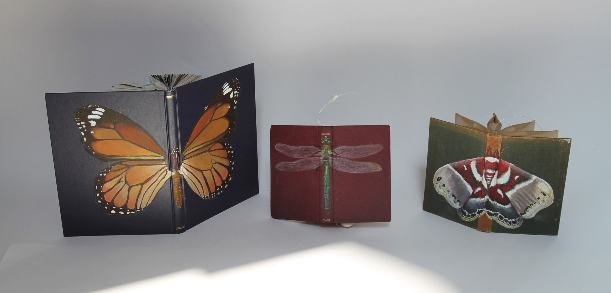 Kothari Books - Study Breaks