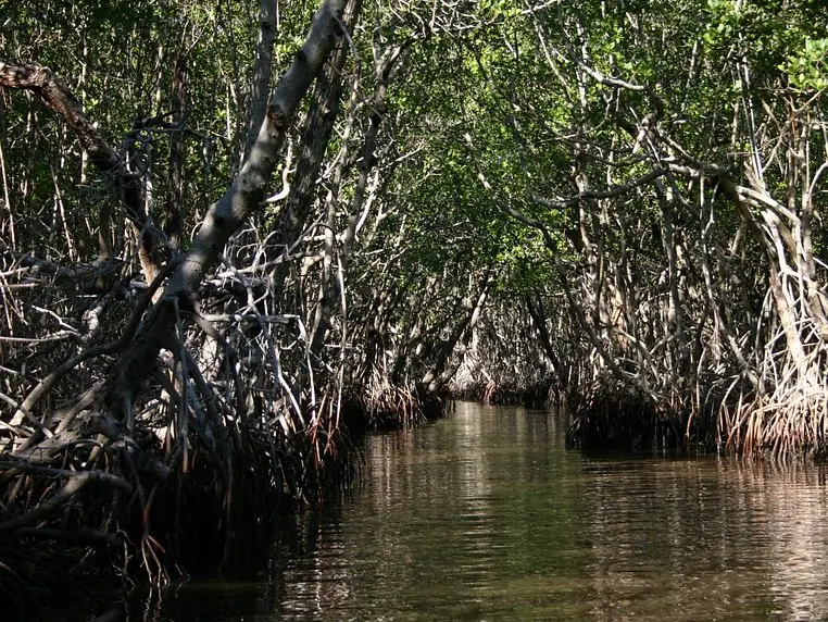 trapper nelson - Study Breaks