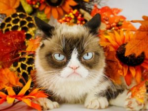 How 'SpongeBob SquarePants' Became the King of Memes