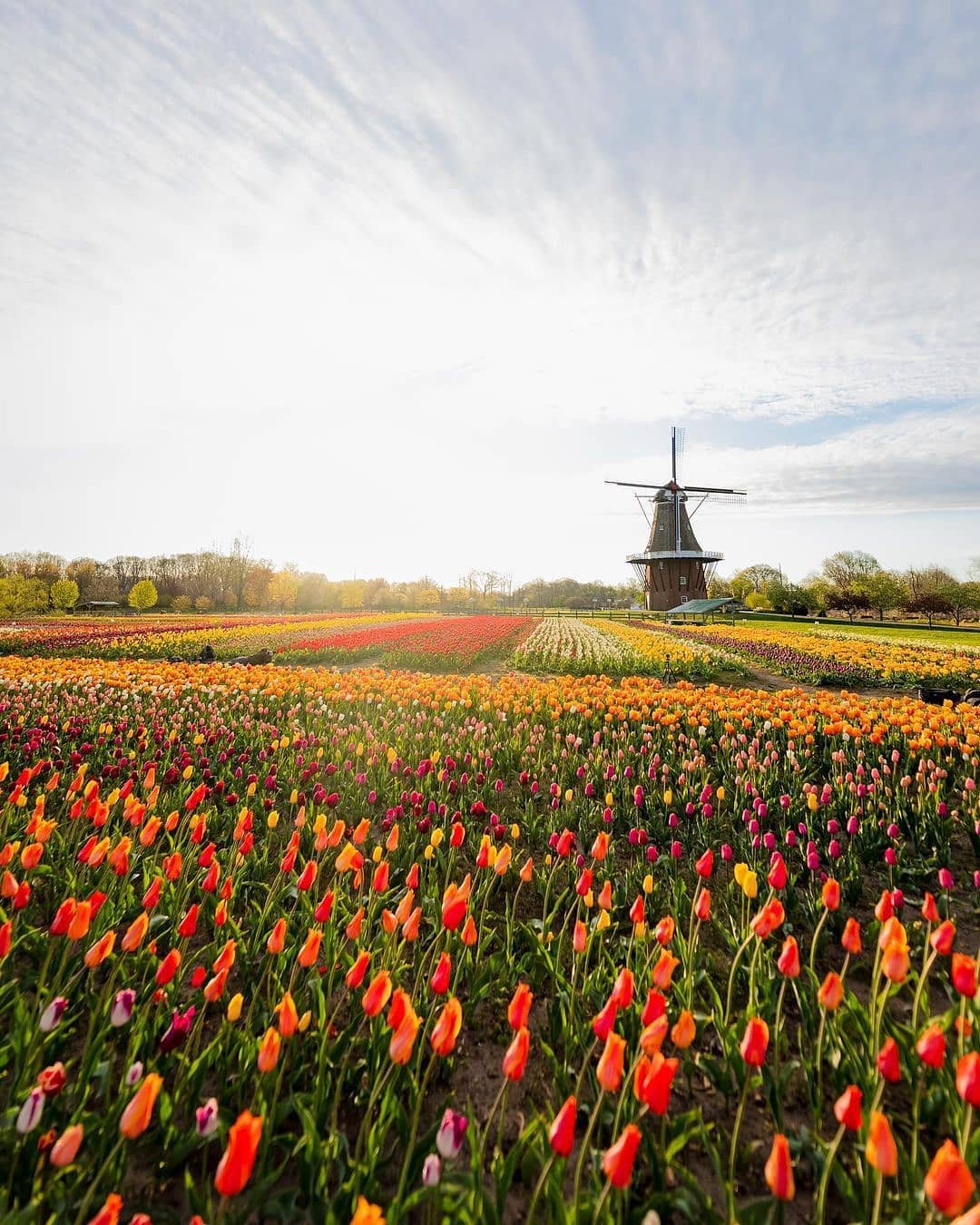 michigan - Study Breaks